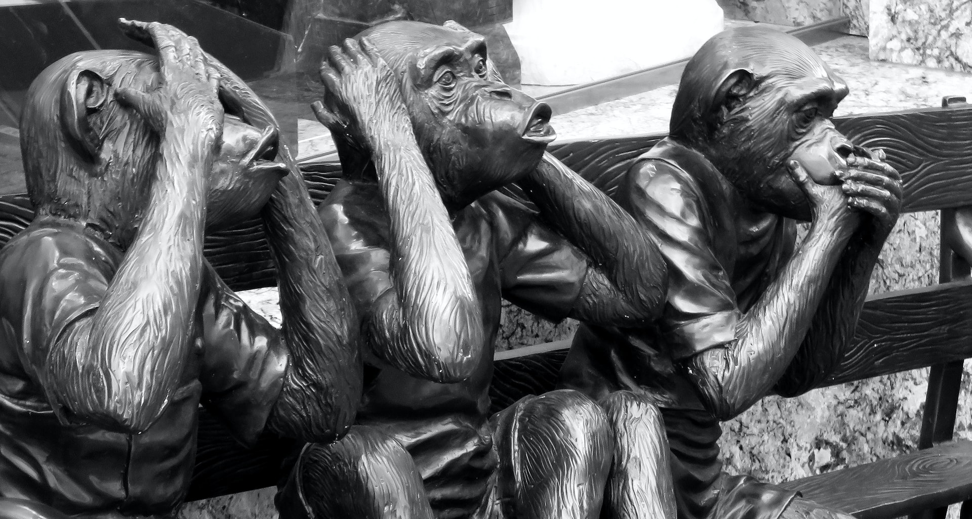 Taking Care with Our Words: How Hurtful Words Impact Others | Seattle ...