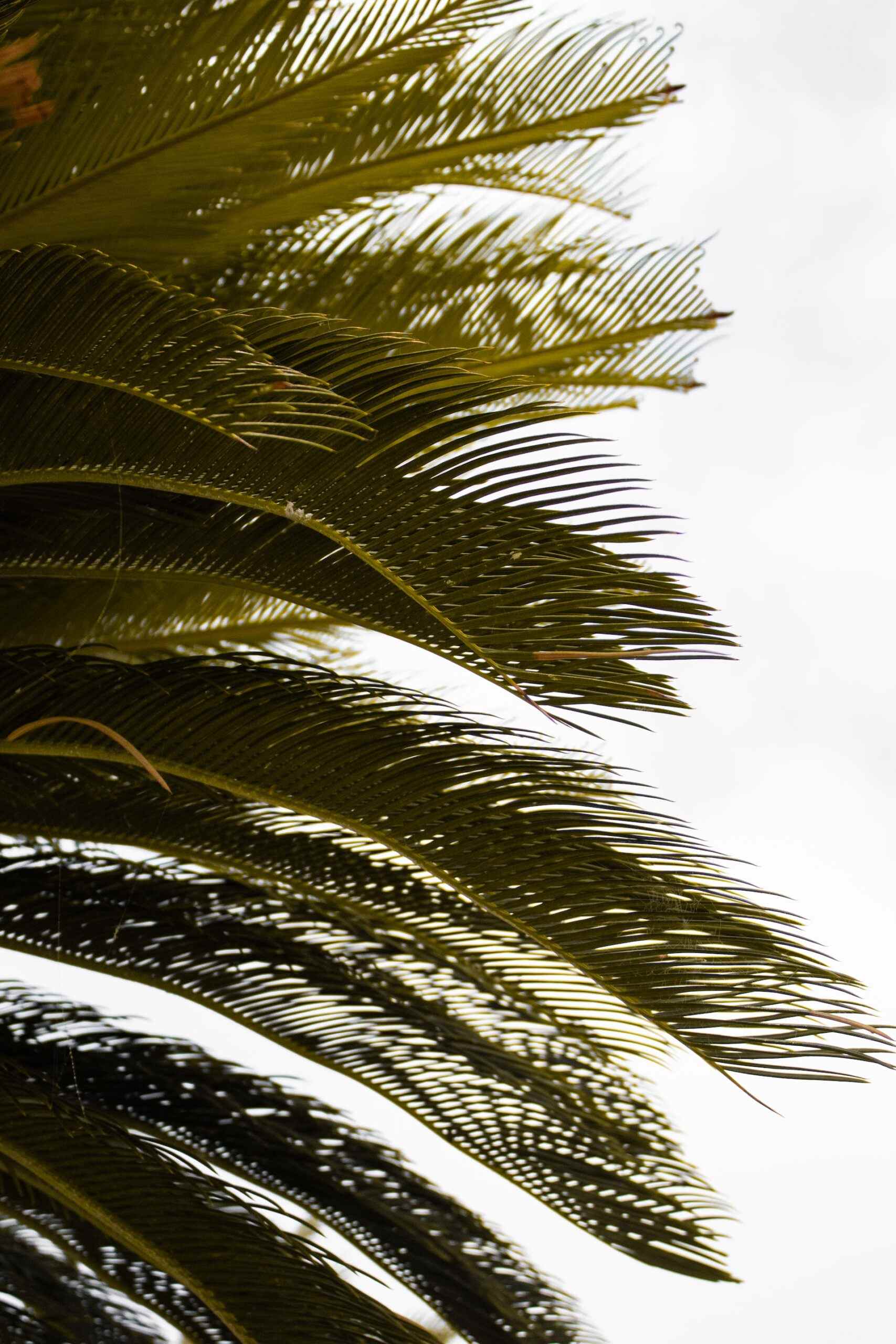 How Emotional Neglect Can Impact the Workplace | Seattle Christian ...
