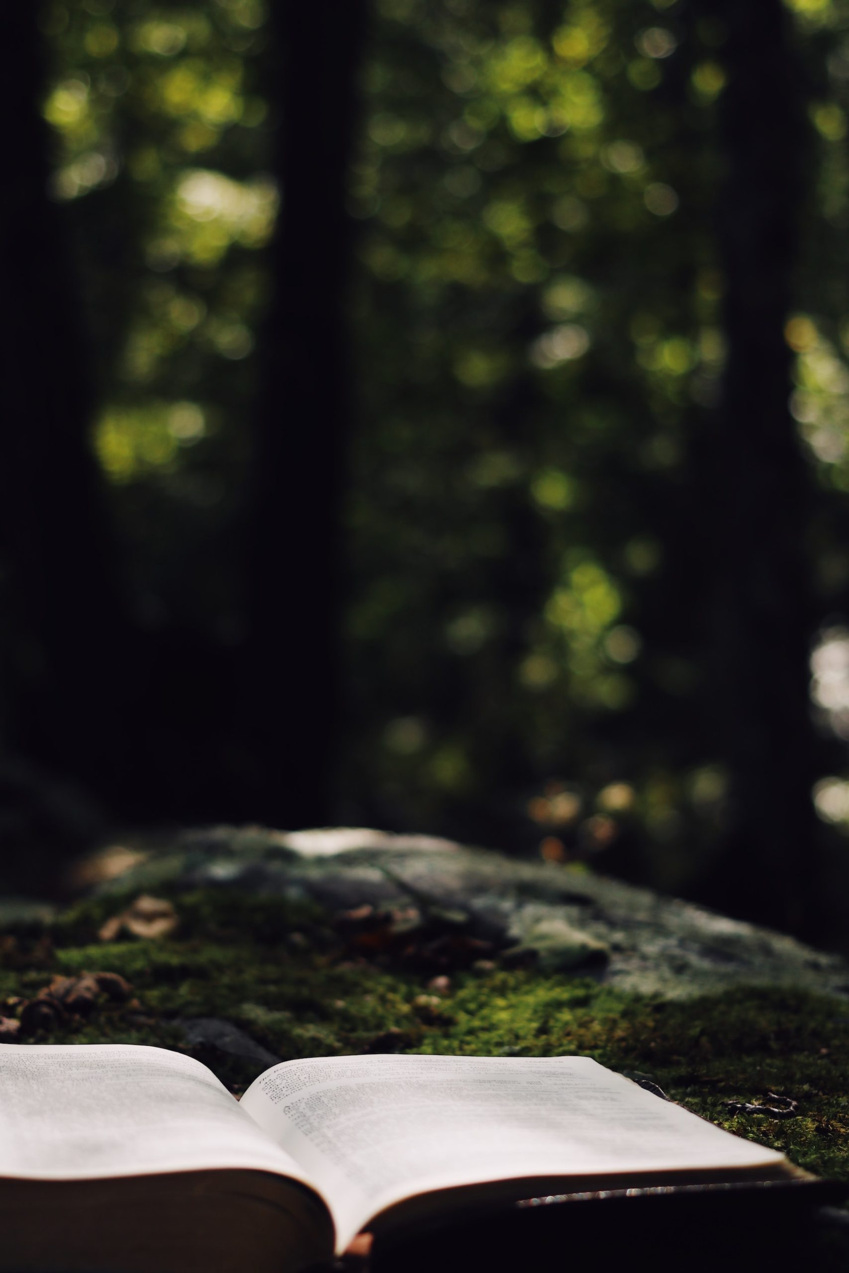 The Best Scriptures to Bring Healing to Your Life | Seattle Christian ...