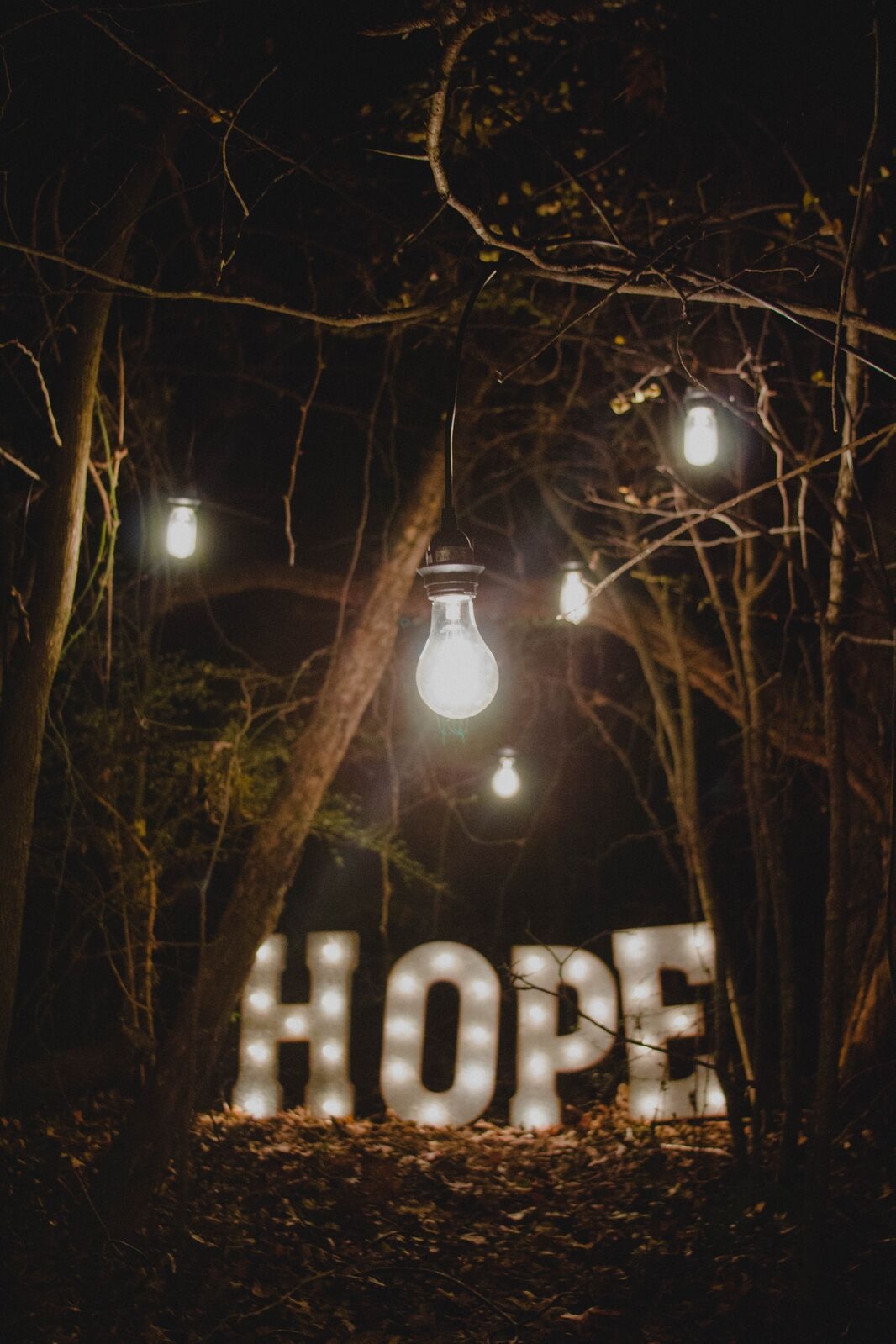 Finding Meaning and Purpose in Disillusionment | Seattle Christian ...