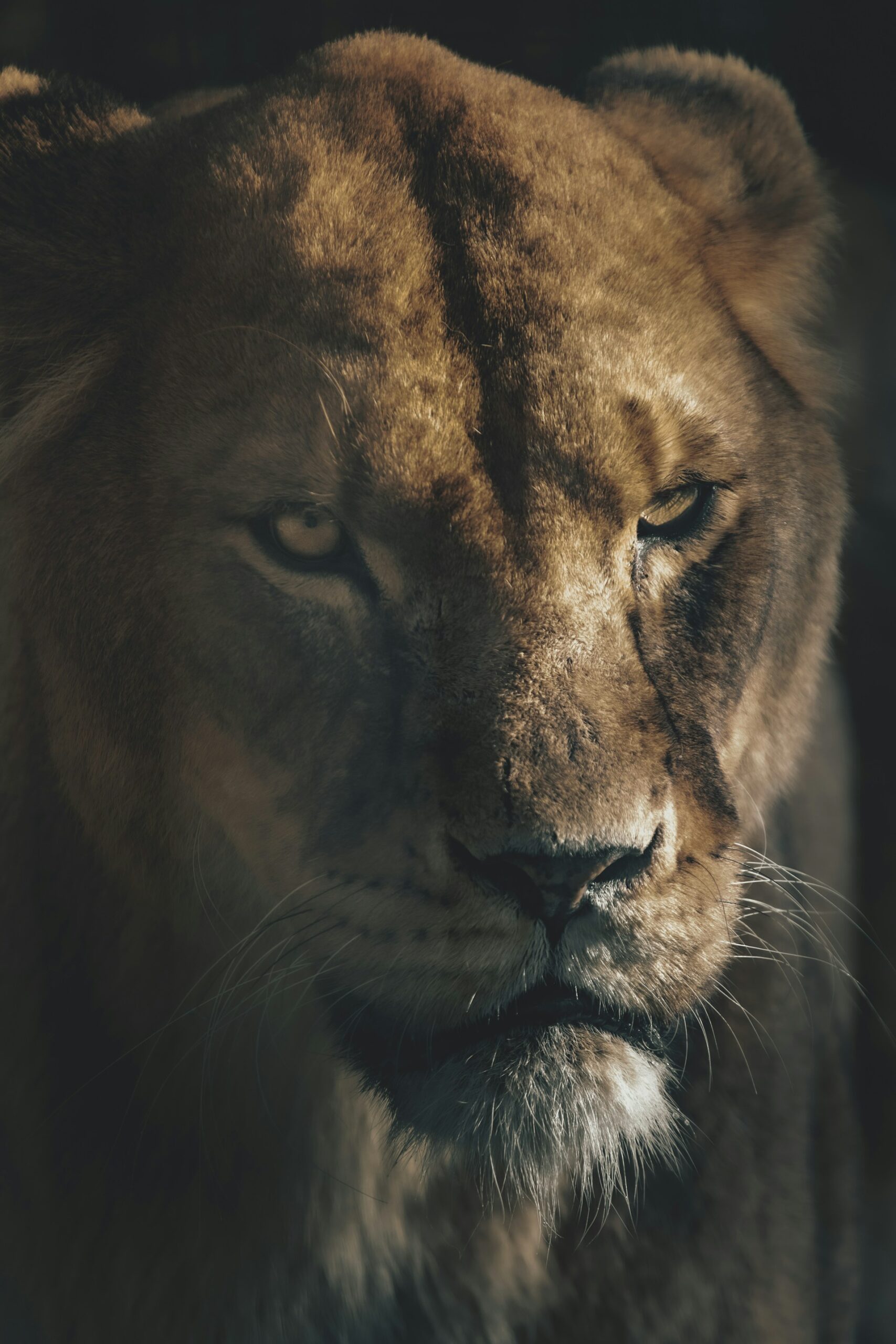 Coping Skills for Effective Anger Management | Seattle Christian Counseling