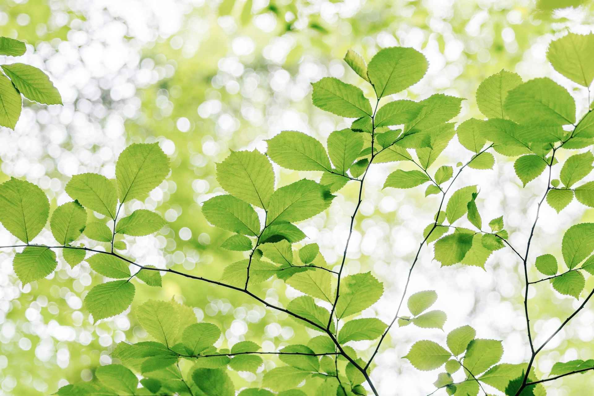 How Grief Works When You Have ADHD | Seattle Christian Counseling