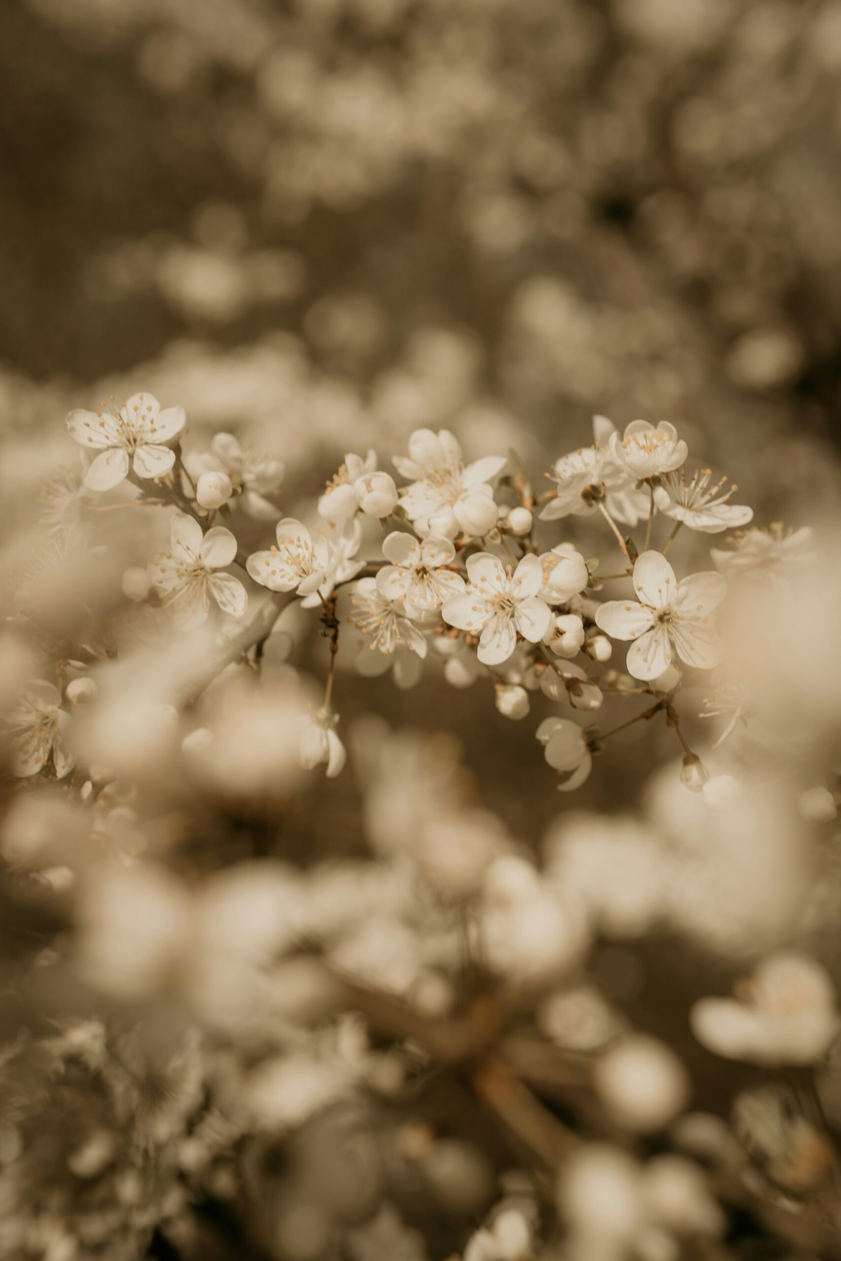 How Grief Works When You Have ADHD | Seattle Christian Counseling