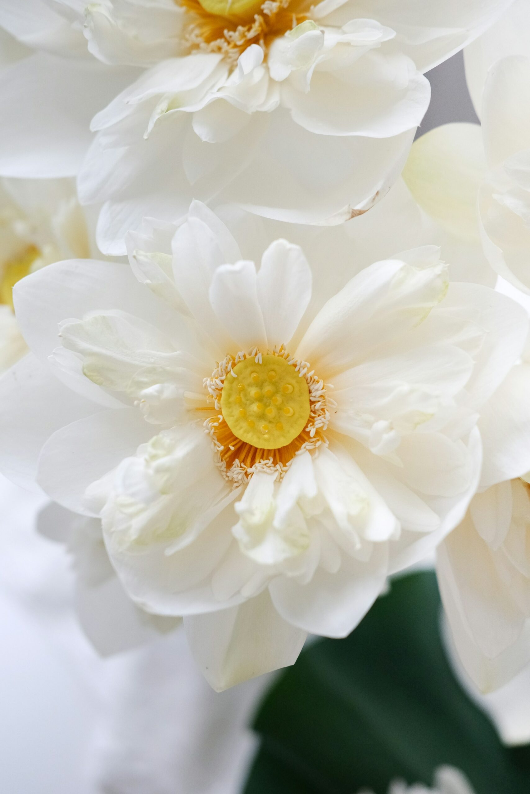 What to Do When You Feel Depressed: Finding Support for Depression ...