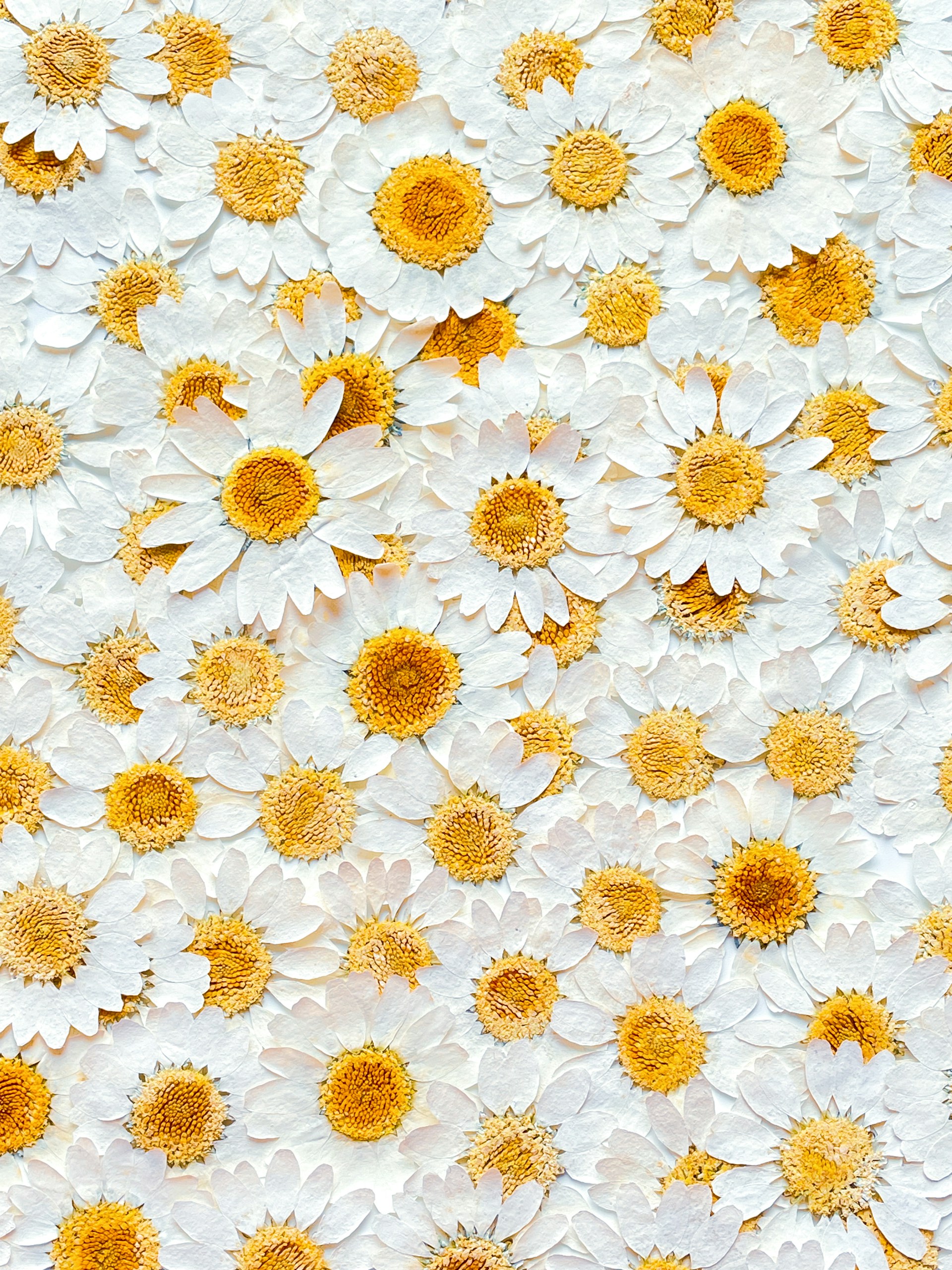 What to Do When You Feel Depressed: Finding Support for Depression ...